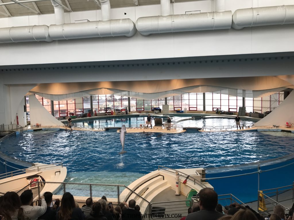 Aquarium-8-1024x768.jpg
