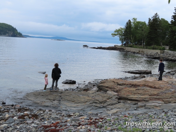 Bar Harbor Shore Walk (12) - Trips With Kevin